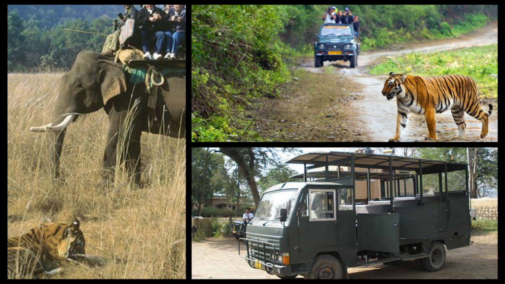 Travel Guide To Jim Corbett National Park | Jim Corbett Tour Packages