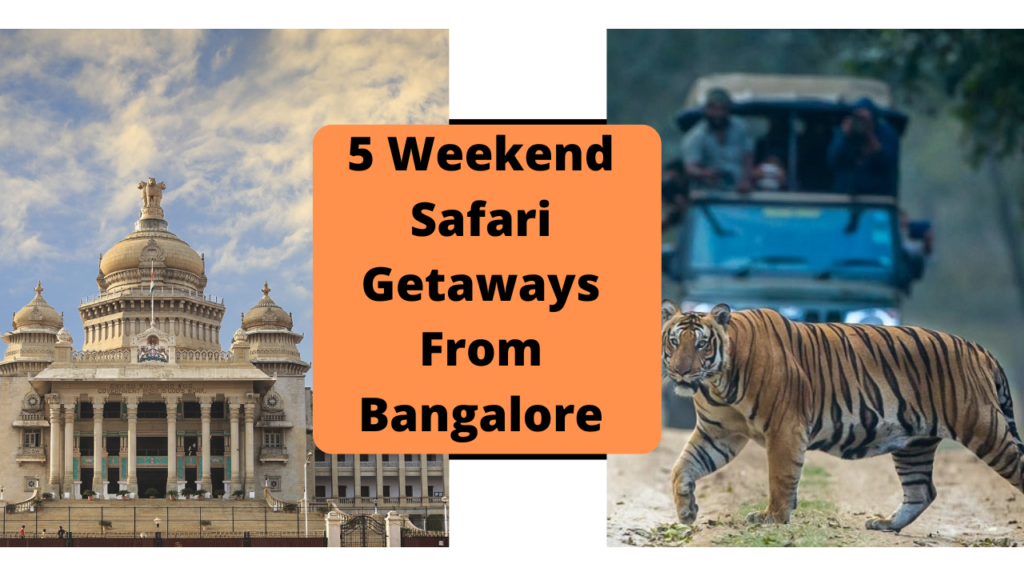 5 Weekend Safari Getaways From Bangalore