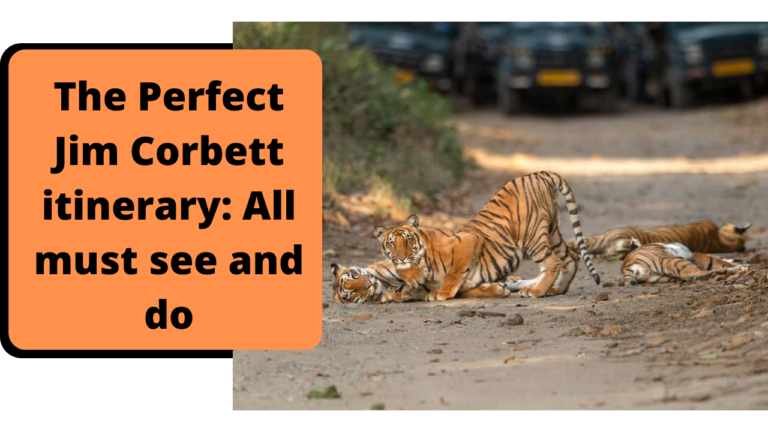 The perfect Jim Corbett itinerary: All must see and do